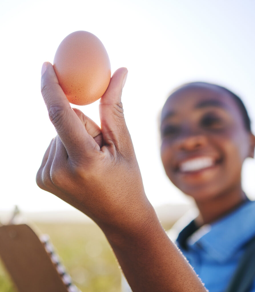 Grade A Eggs (Slideshow) - Education