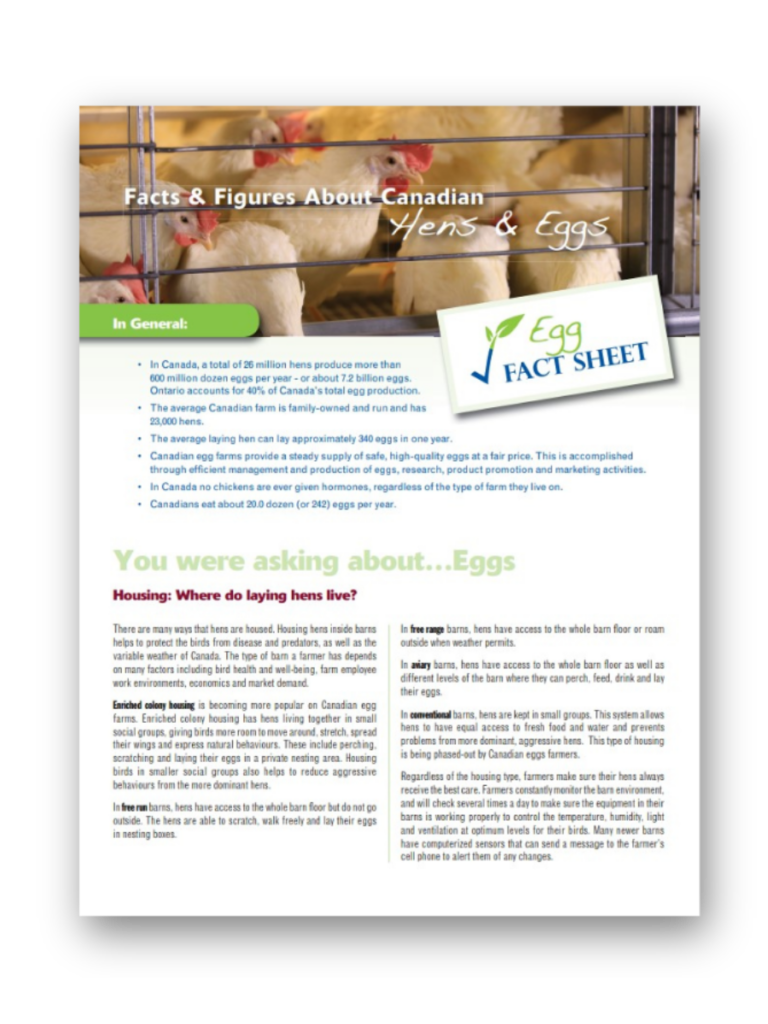 Egg Fact Sheet - Education
