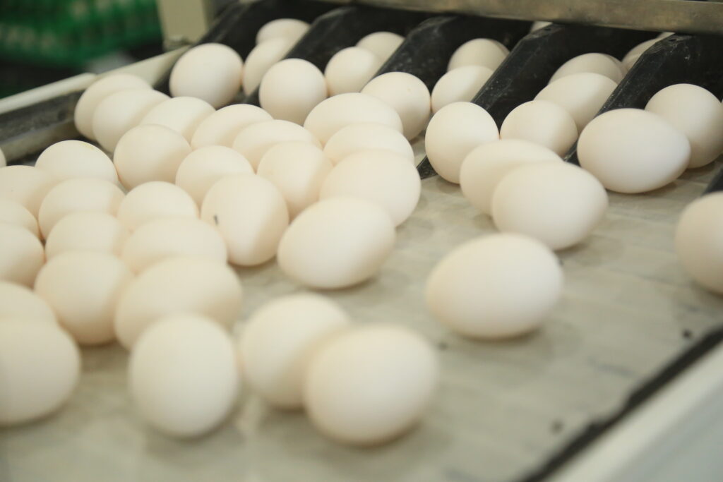 Grading Station Tour - Education