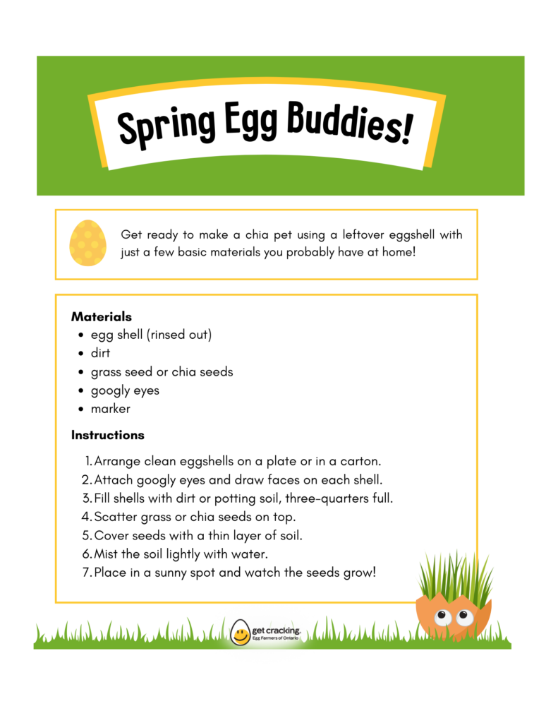 Fun Egg Activities - Education